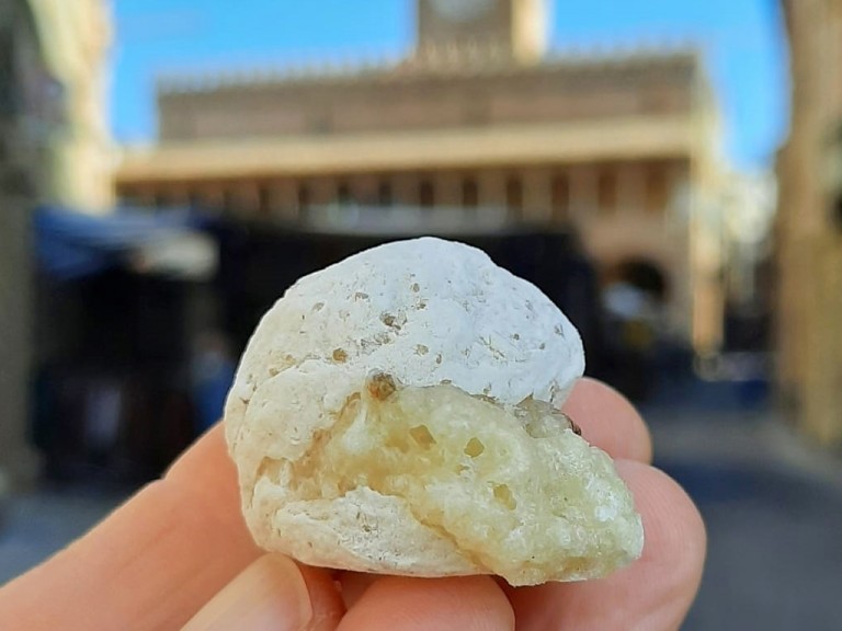 Funghetti di Offida - SOCIALCICERO